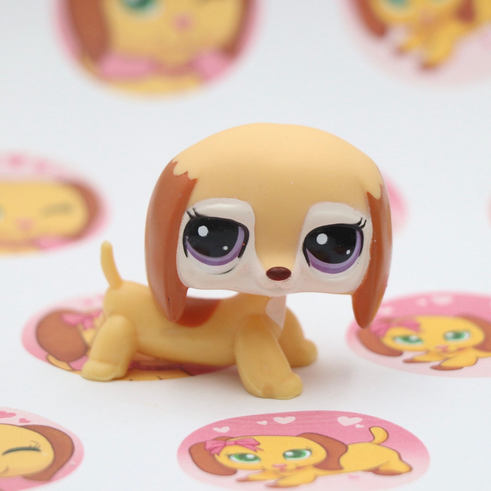 Main 5's – DreamieShopLPS