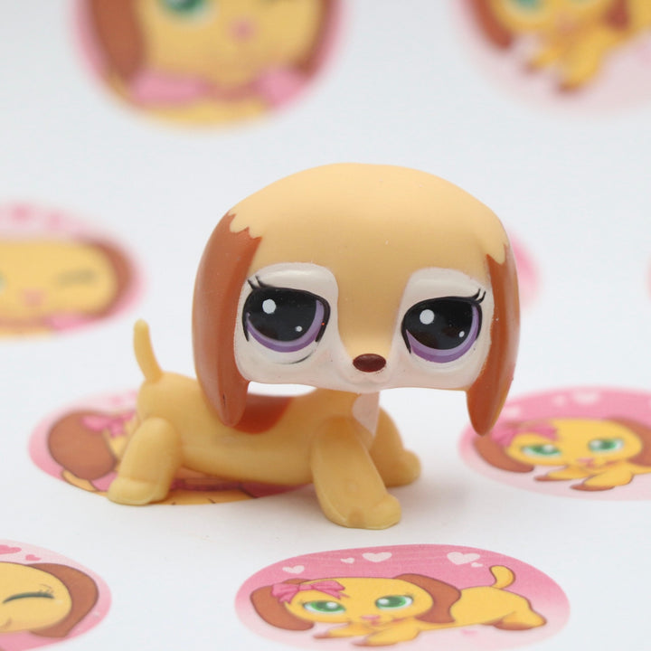 Main 5's – DreamieShopLPS