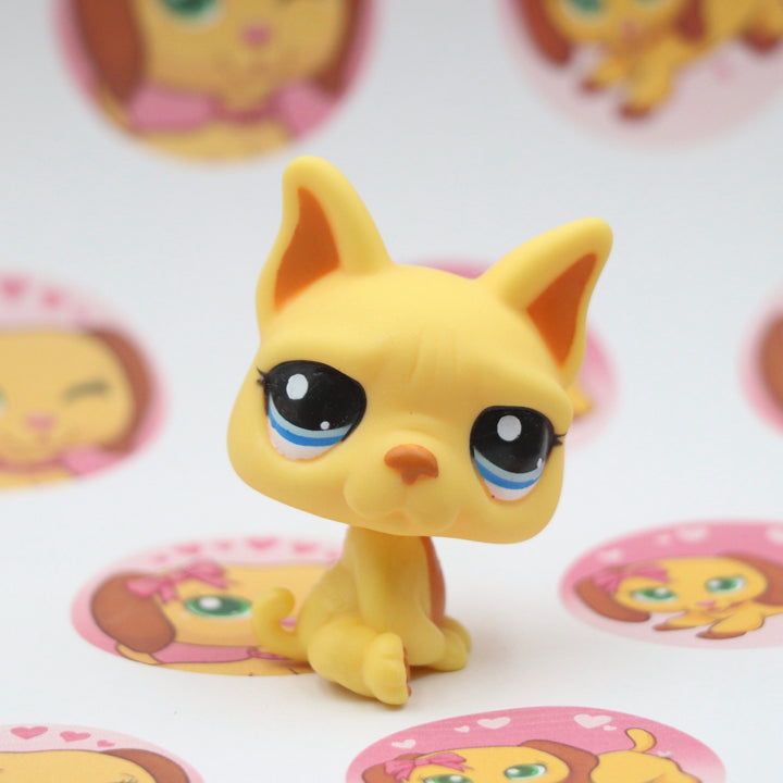 Dogs – DreamieShopLPS